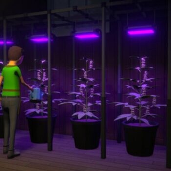 Schedule I Best Mixes Guide - Effects, Combo & Weed Mixes