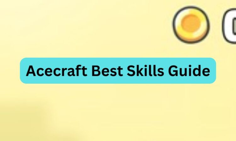 Acecraft Best Skills Guide – Top Attachments You NEED